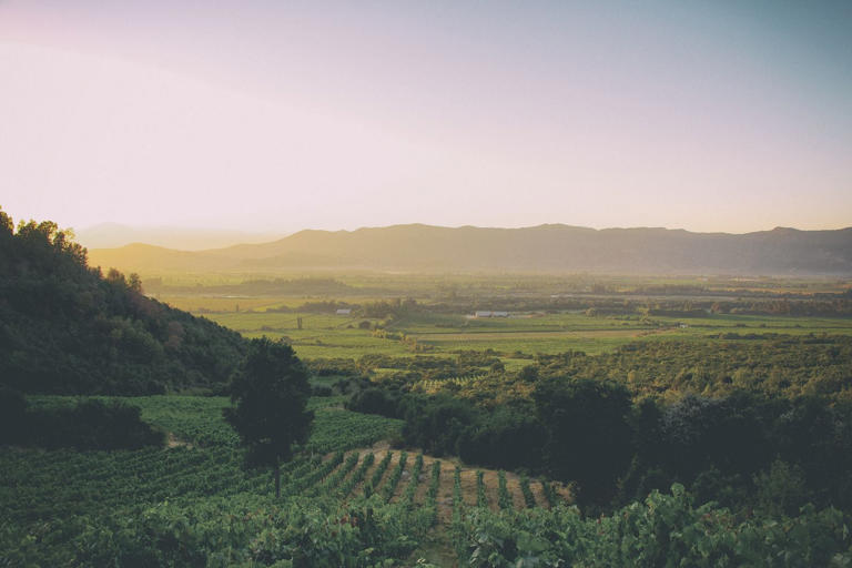 Emiliana es reconocida en los Greens Awards, esta vez por “Iniciativa ...