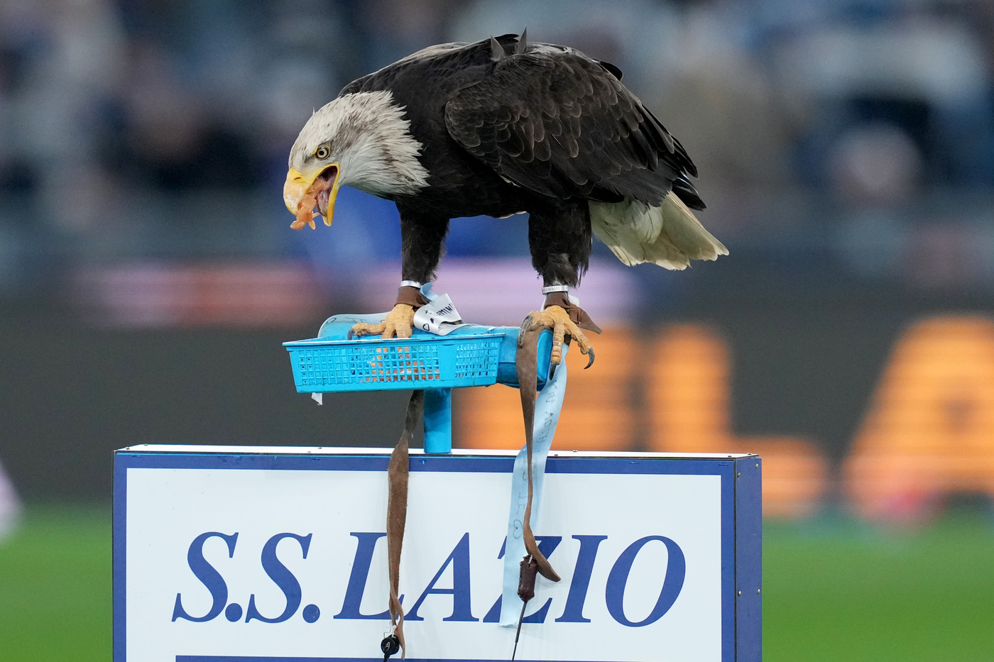 Classifica anno solare 2025: nona la Lazio