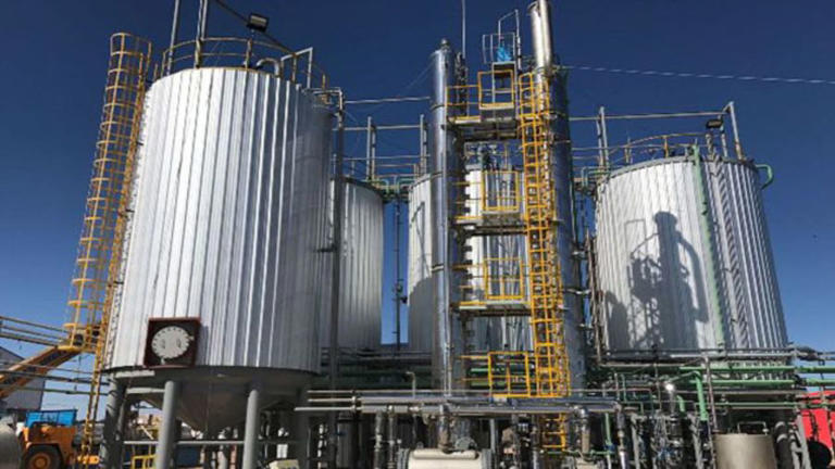 Porta Hnos. llegó al mercado africano y anticipa un 2026 con nuevos ...