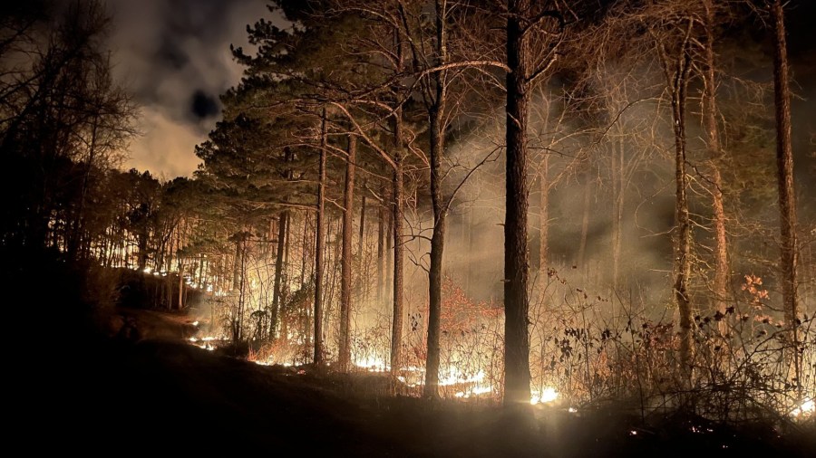 White Fire burns 190 acres in Johnson County