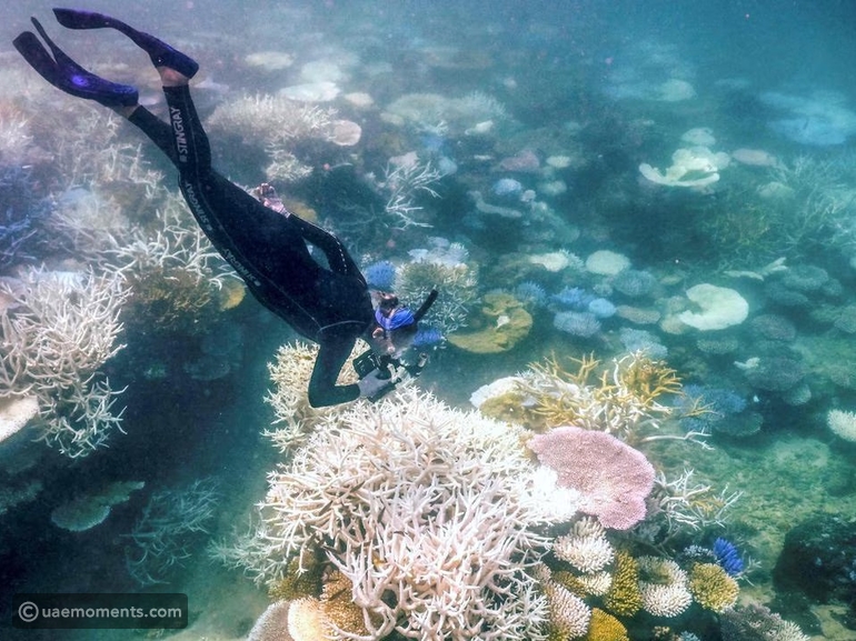 UAE scientists discover the reason behind extreme summer heat in the ...