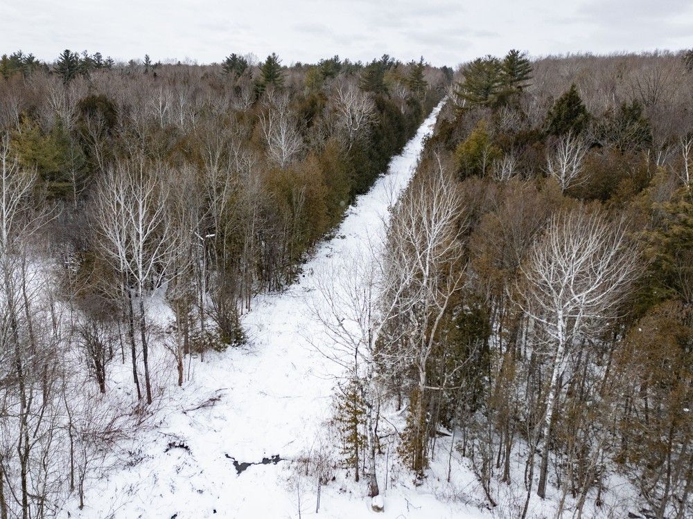 Asylum seekers deported to US following Christmas Day crossing into Quebec