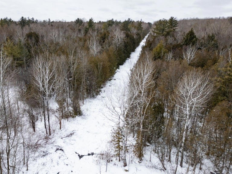 Asylum seekers deported to US following Christmas Day crossing into Quebec