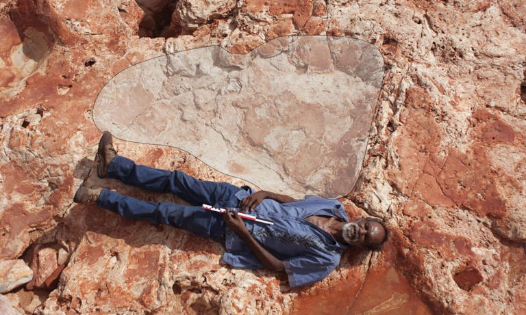 Researchers discover the largest dinosaur footprints ever found, big ...