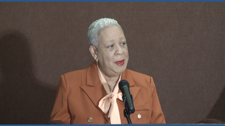 Harrisburg mayor challenges council's veto override as budget cuts key ...