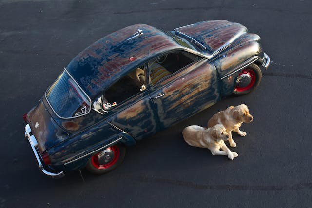 His Saab story is about a singular star-crossed survivor