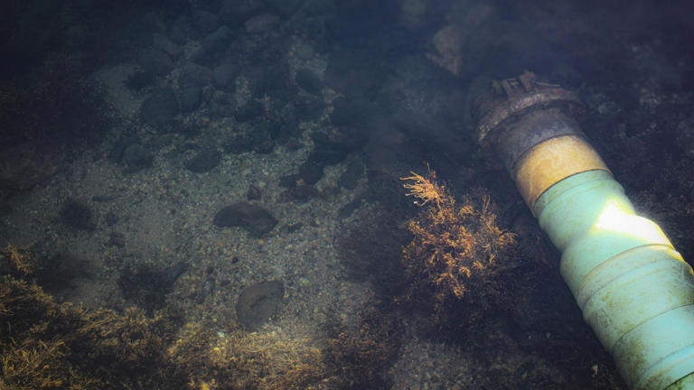 Scientists found the deep ocean’s missing link at last