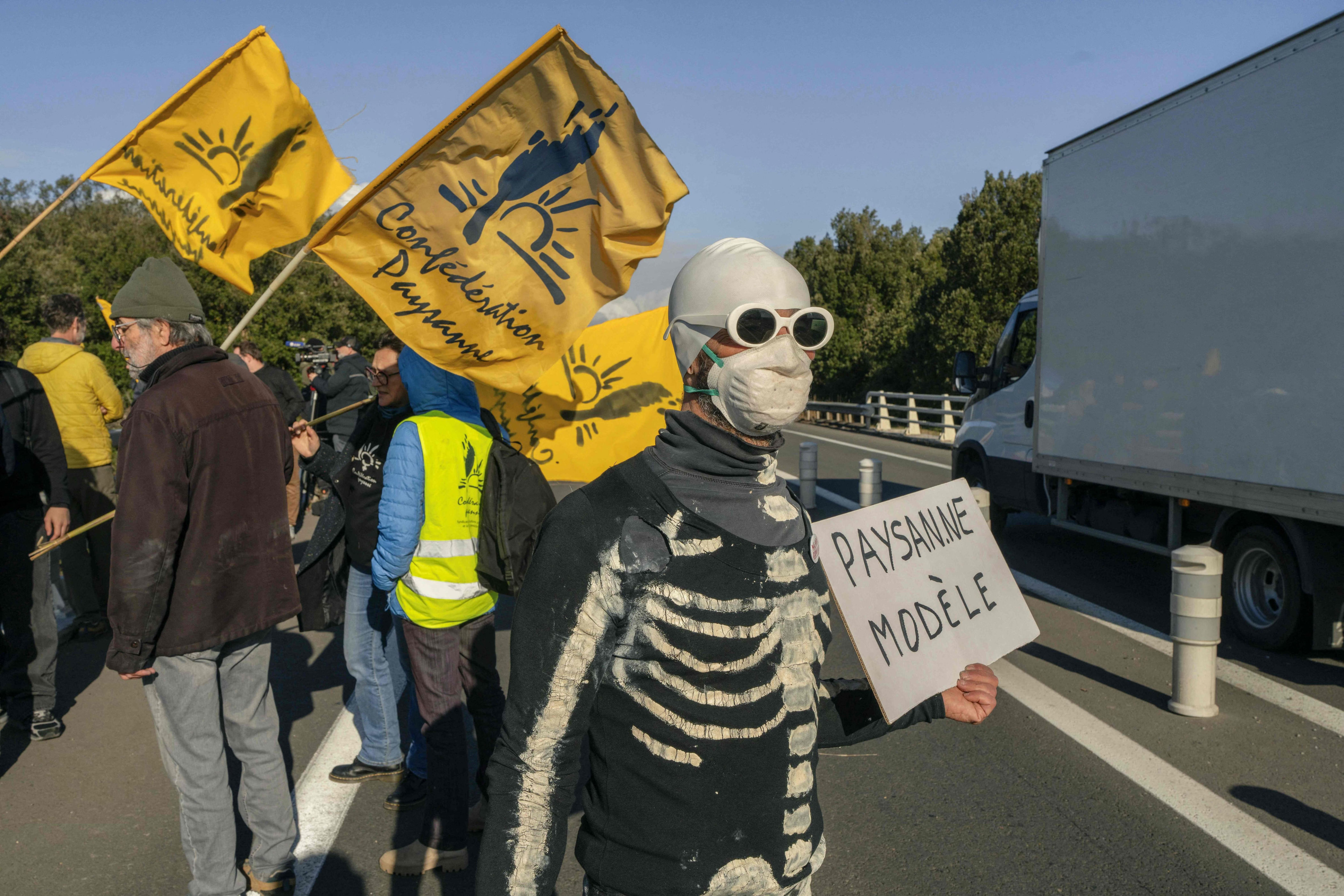 Dermatose et Mercosur : la Confédération paysanne reprendra sa ...