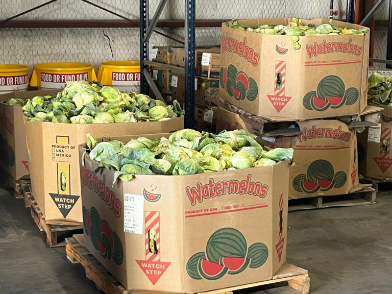 Local food bank seeks to give out over 21 tons of cabbage