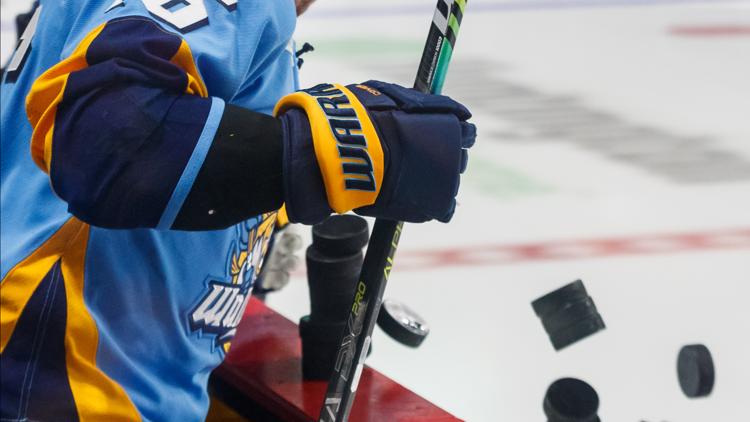 Back at full strength: ECHL union members, league approve new contract