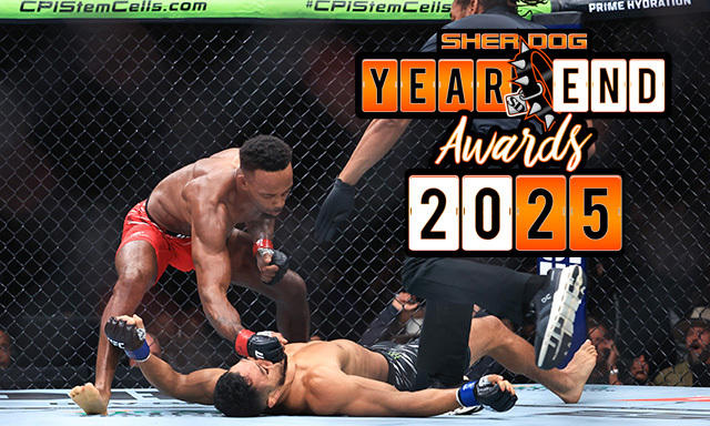 Sherdog's 2025 knockout of the year