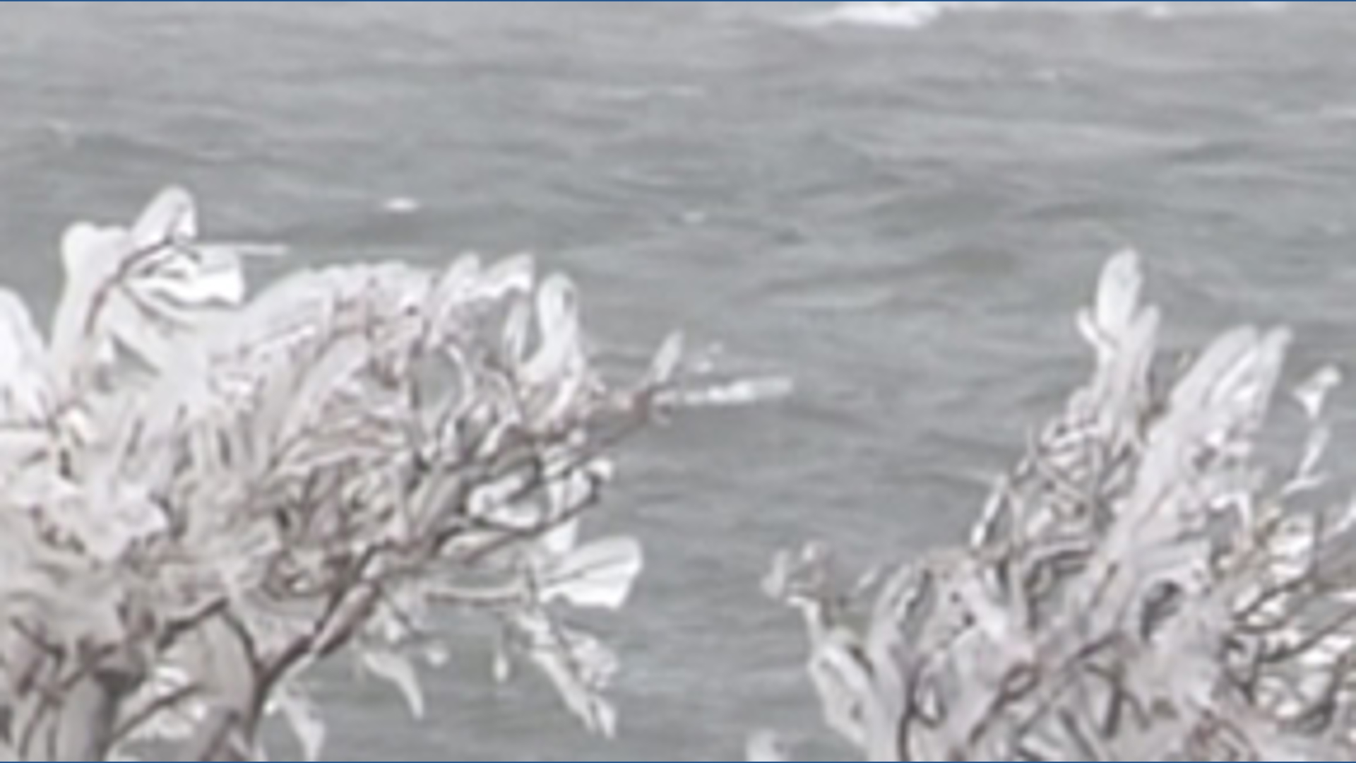 Erie's bayfront is covered in a sheet of ice
