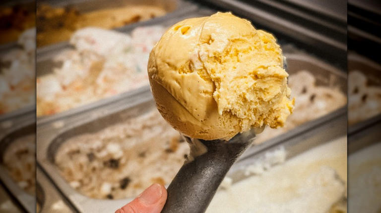 The best ice cream parlors in every US state