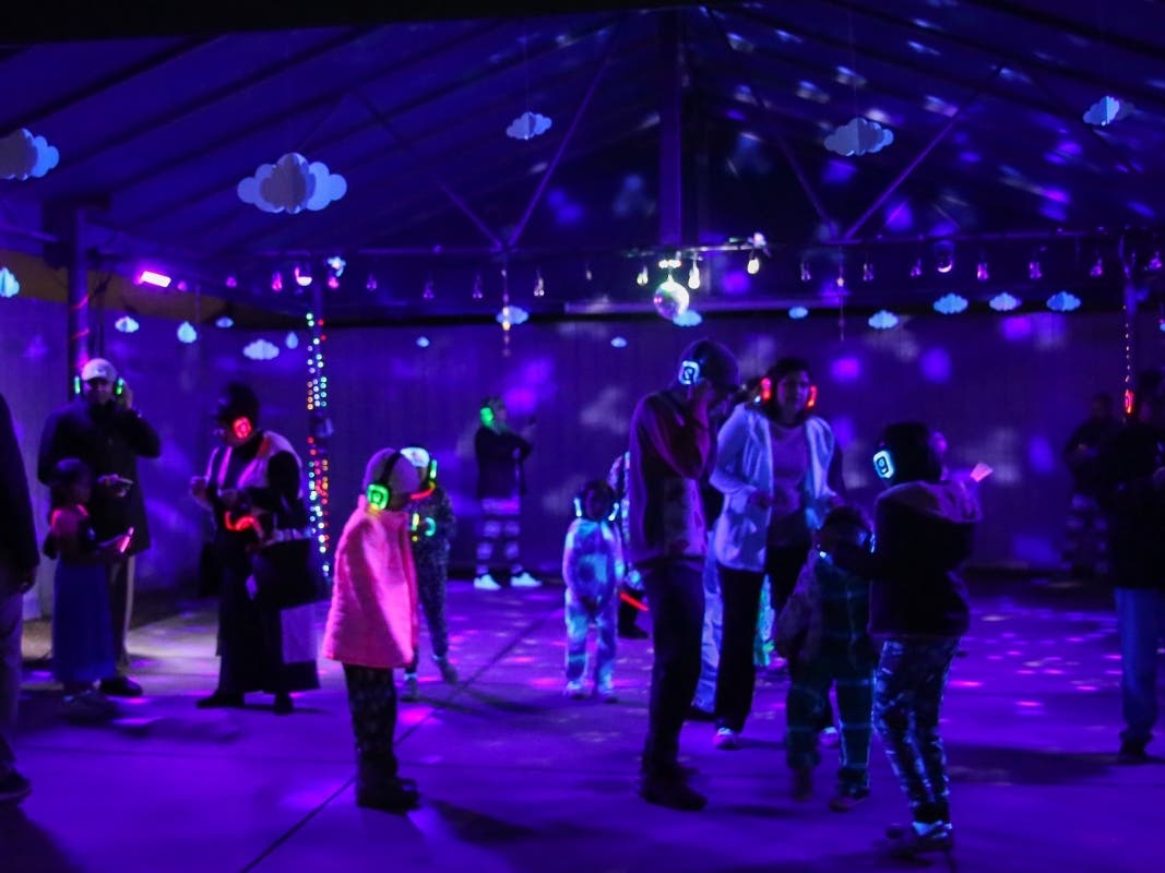 Say 'Peace Out 2025' at Living Coast Discovery Center's New Year's Eve ...