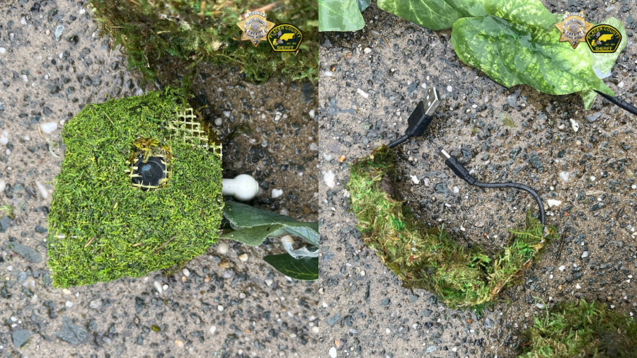 Placer County deputies find hidden camera in bushes possibly used to ...