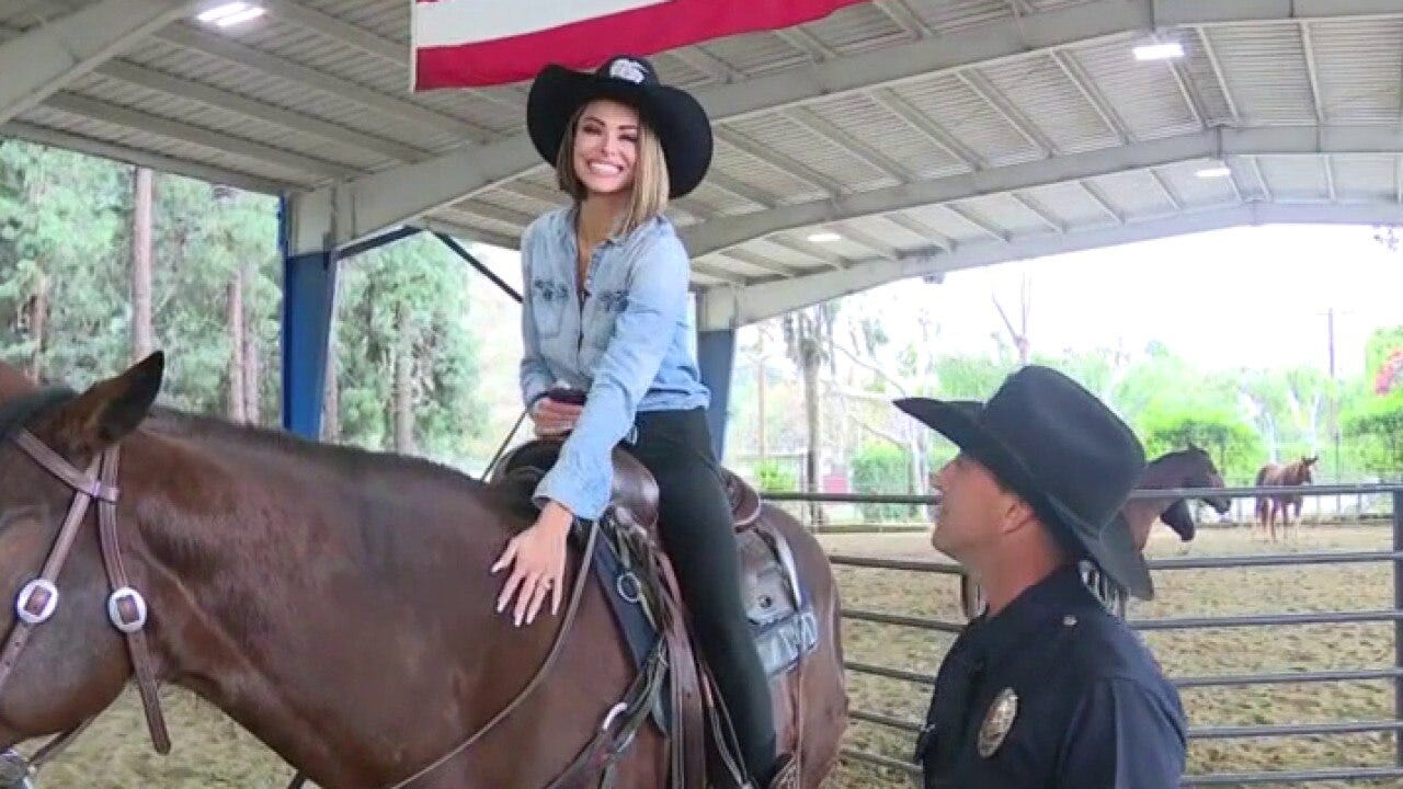 Meet the LAPD's mounted platoon