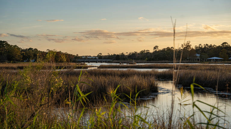 Nestled on Mississippi's Gulf Coast is a charming city with small-town ...