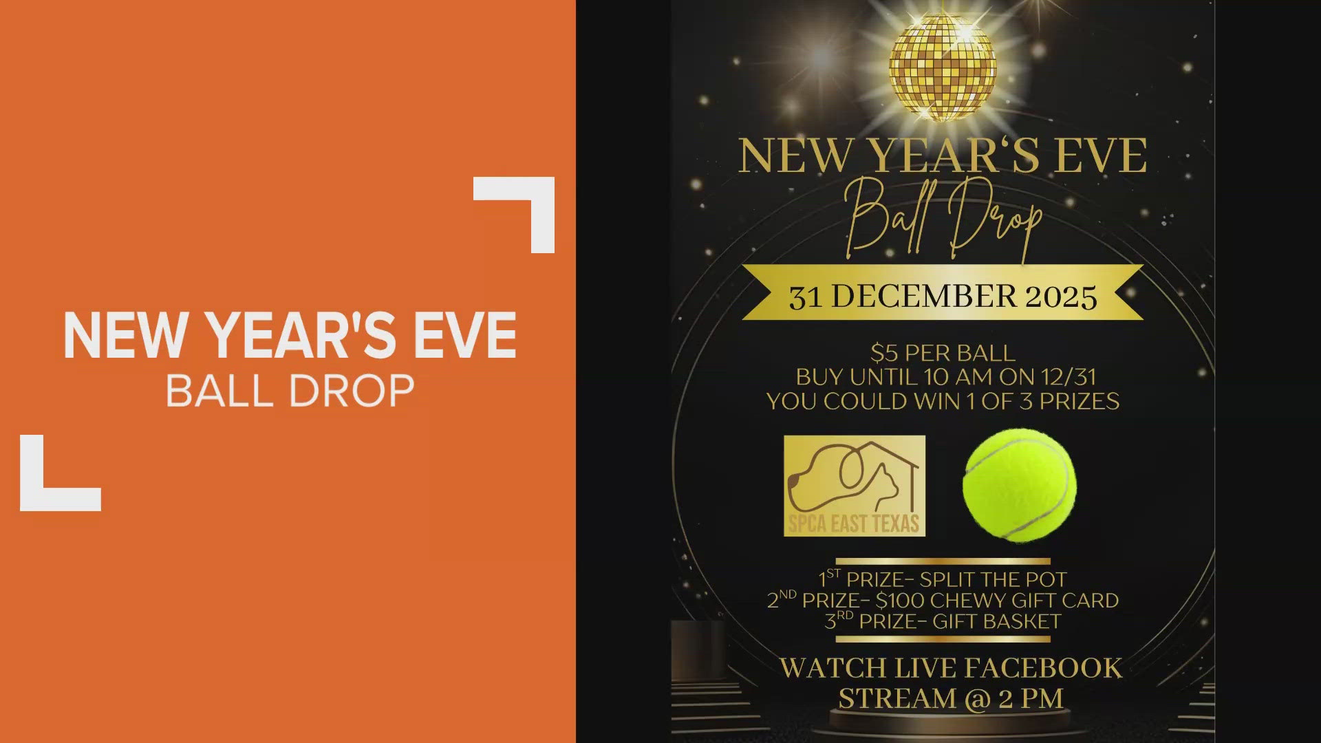 Tuesday tails: SPCA of East Texas to host New Year's Eve ball drop ...