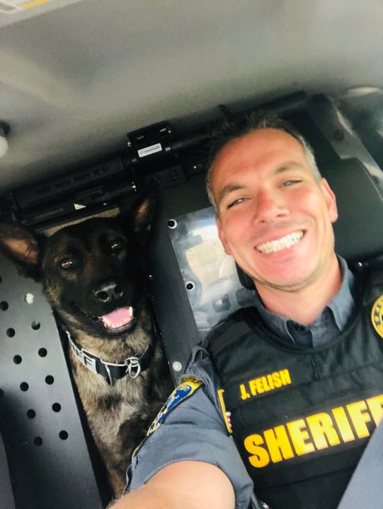 'World class good boy': Mohave County Sheriff's Office mourns K9 Brutus