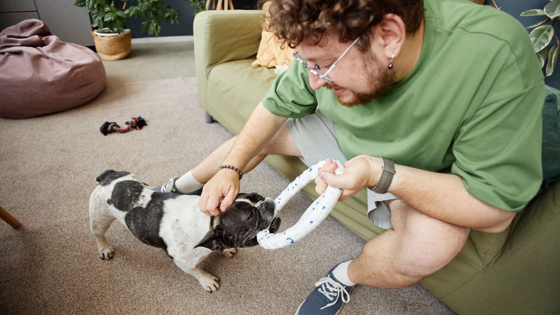 8 activities your dog loves doing with you at home