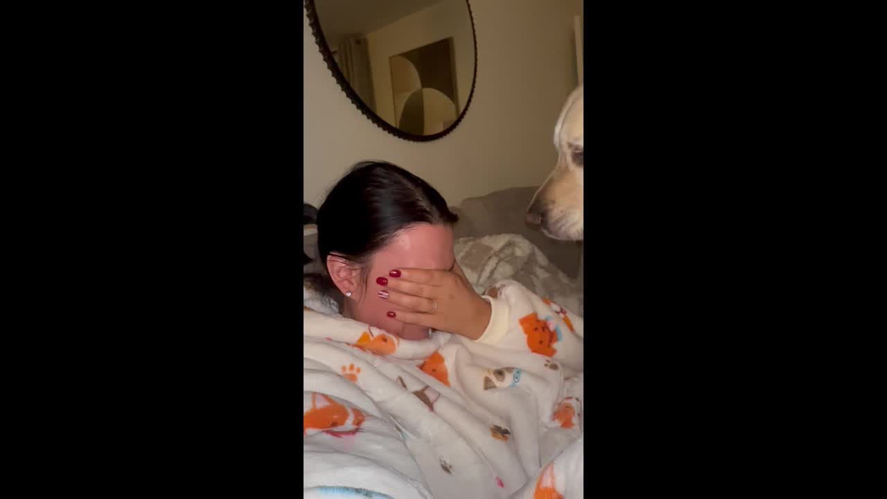 Dog becomes overwhelmed when owner pretends to cry—heart‑melting ...
