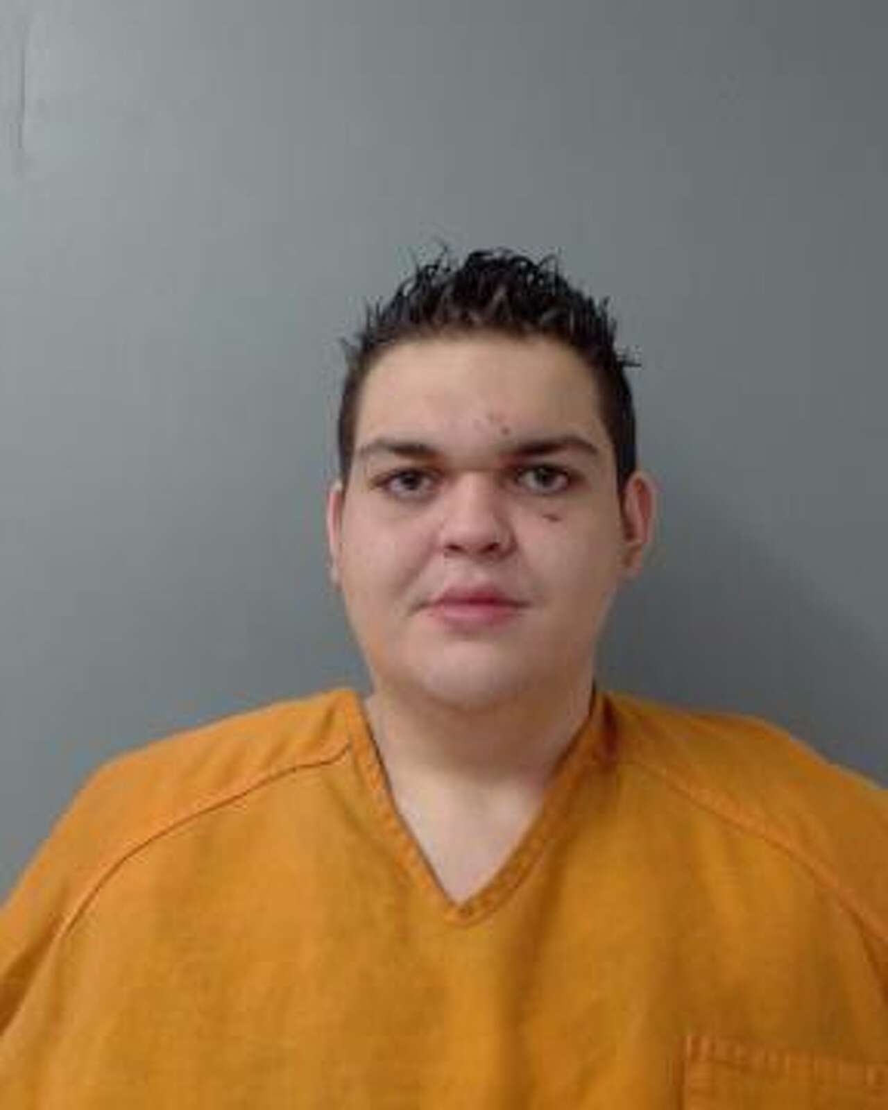 Sentencing set for man who kicked LPD officers, damaged LMC property