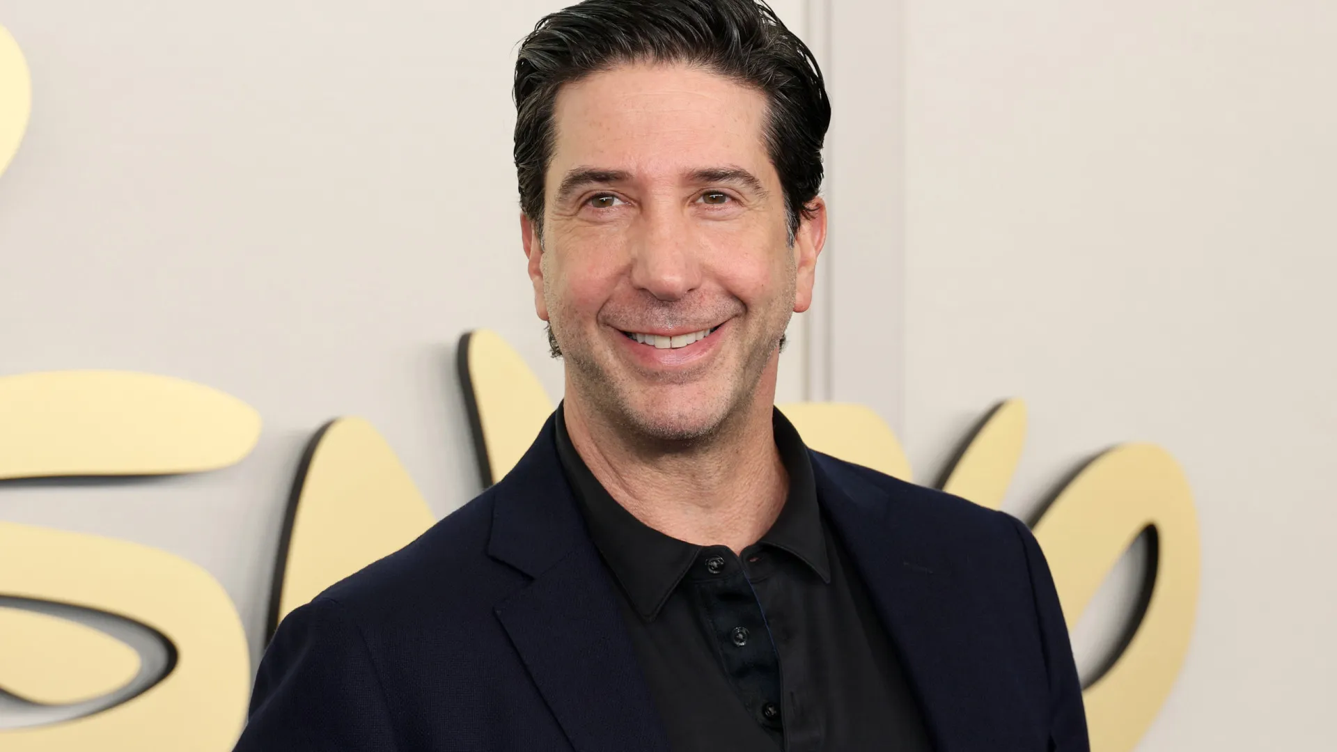 David Schwimmer e Eliana Jolkovsky: Raro momento público do casal