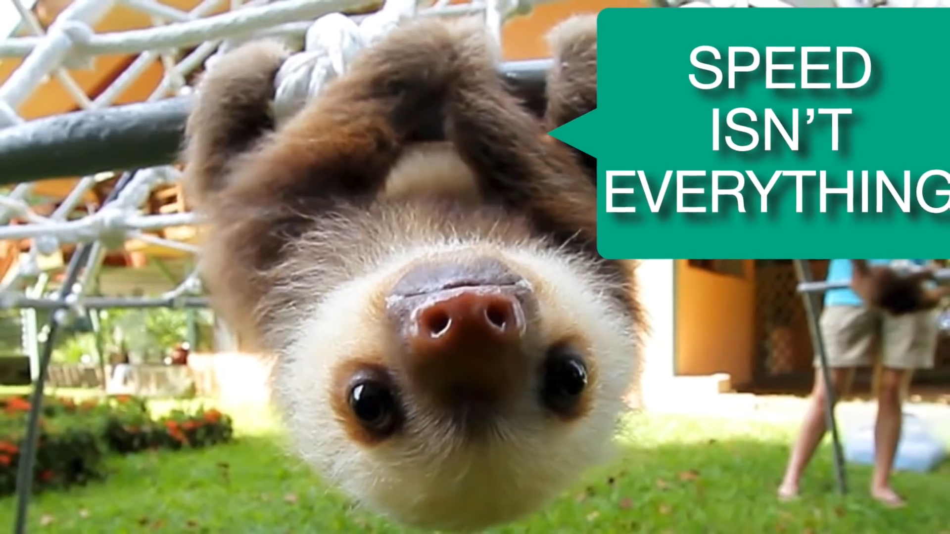 Solana vs Polkadot vs Ethereum 2.0 (Which is best?)