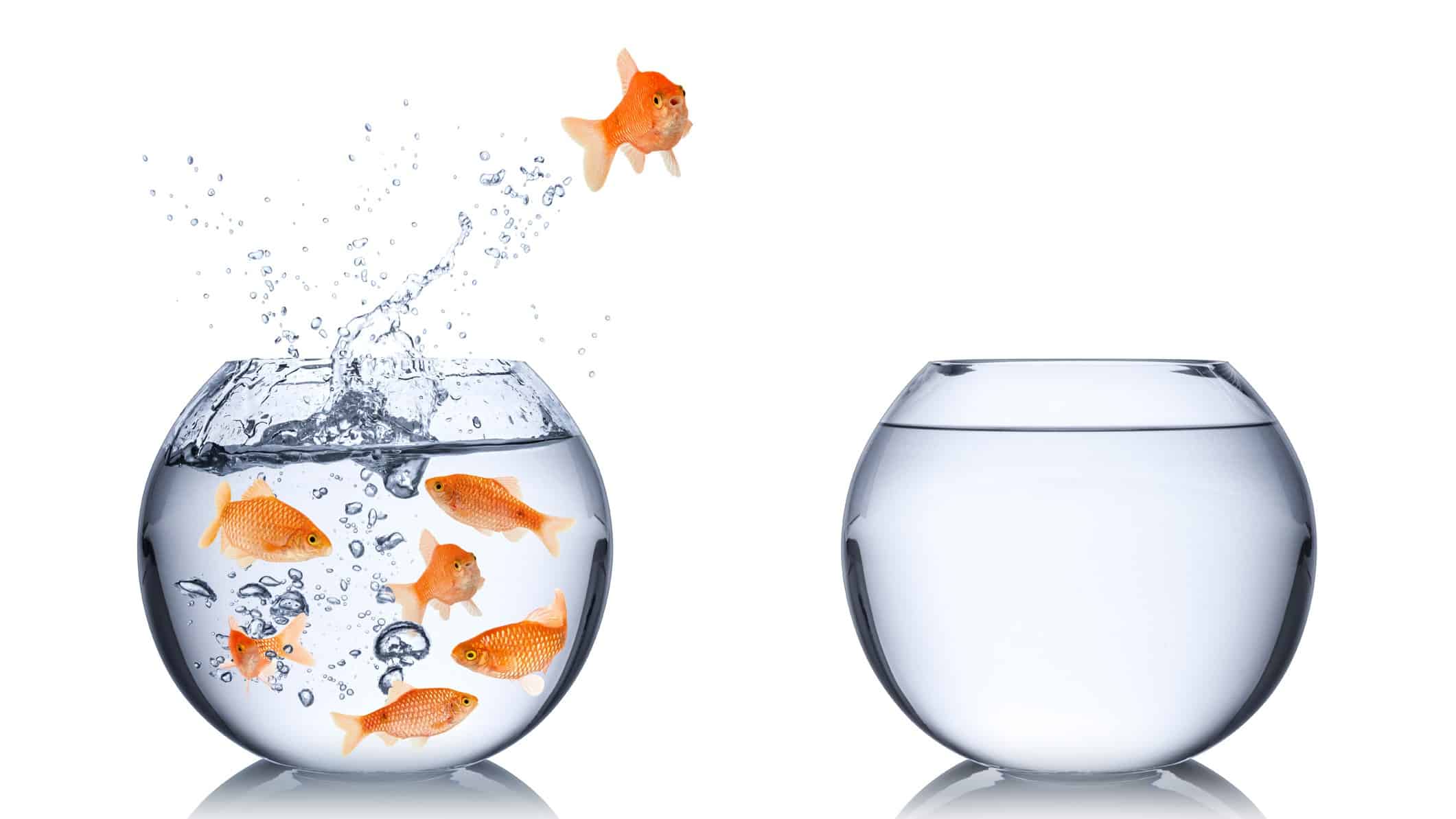 This ASX ETF has returned 12.5% annually since inception