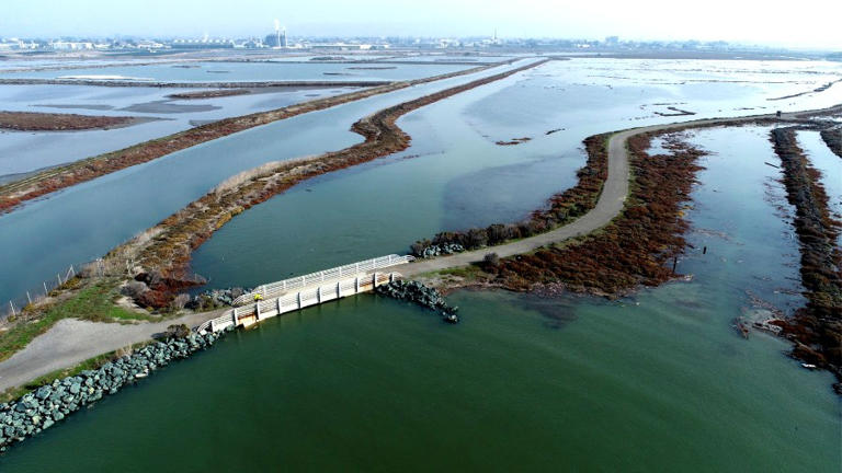 San Francisco Bay Trail to expand 77 acres on Hayward shoreline