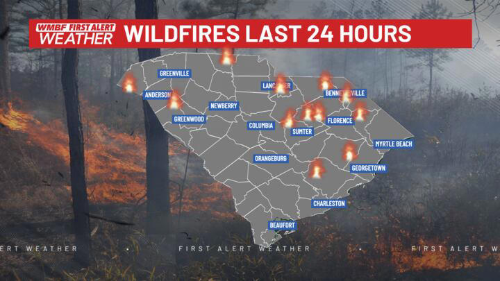 Officials warn of dangerous burn conditions in Horry County