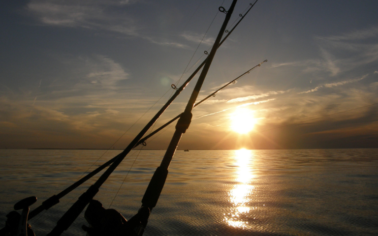 Why Lake Erie's walleye boom means epic fishing ahead