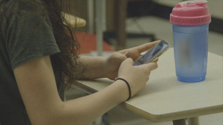 SC wants to spend millions to teach kids about screen addiction