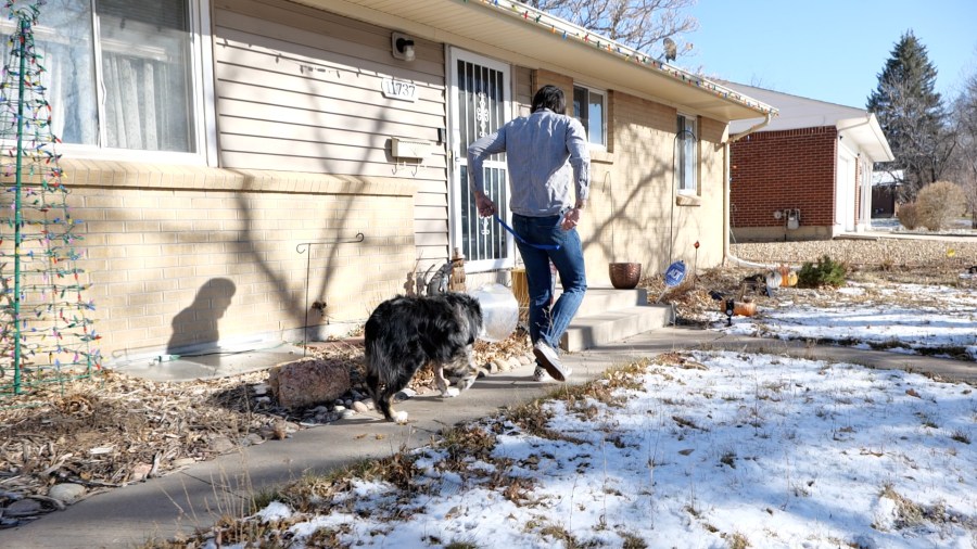 Man, dog recovering after attack by 5 off-leash dogs on Christmas Day