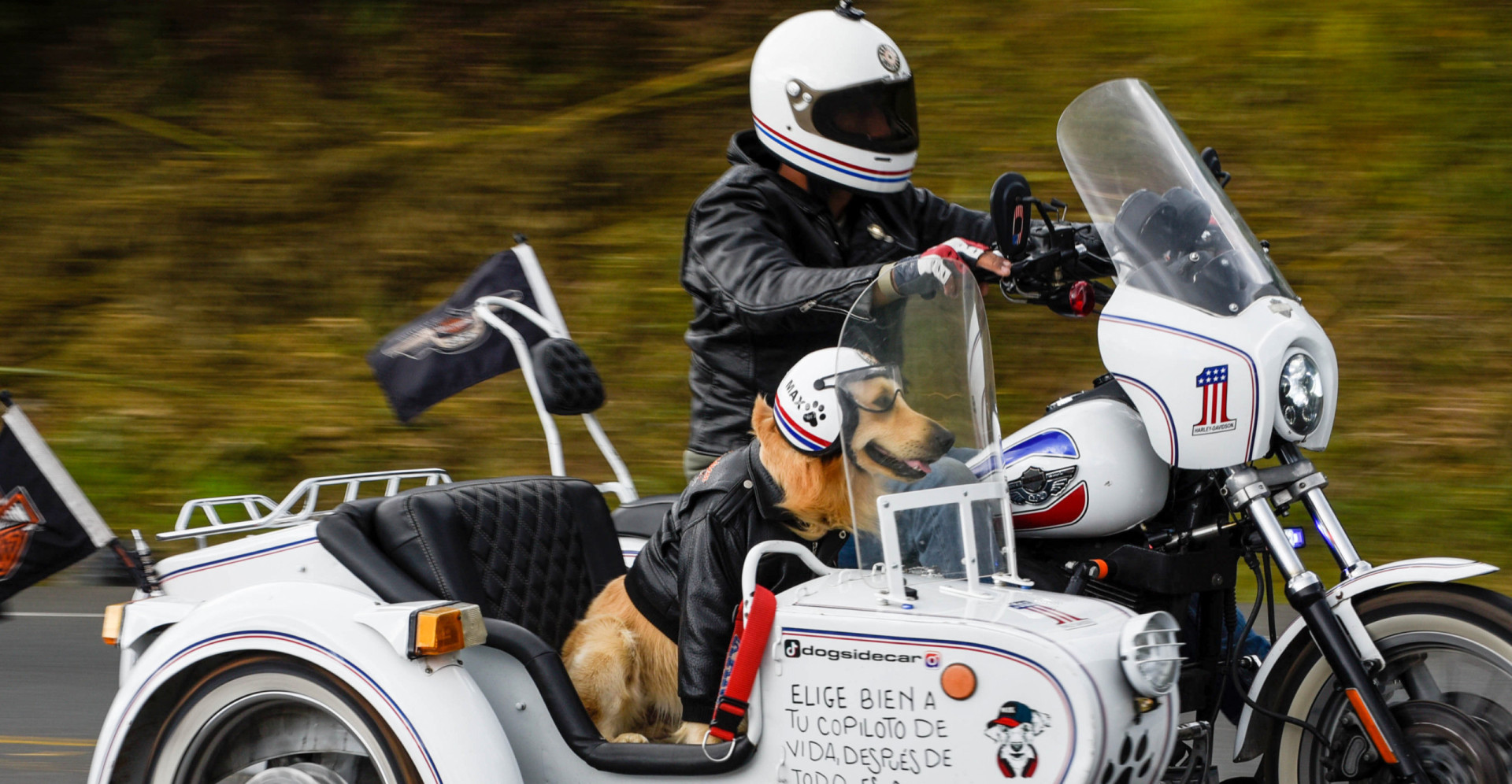 Having a bad day? These photos will help!