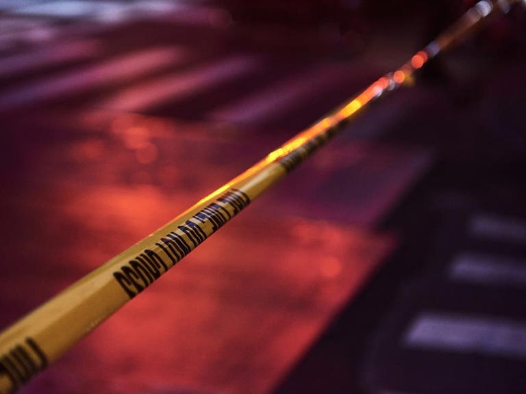 Man shot at Brooklyn public housing complex, police say