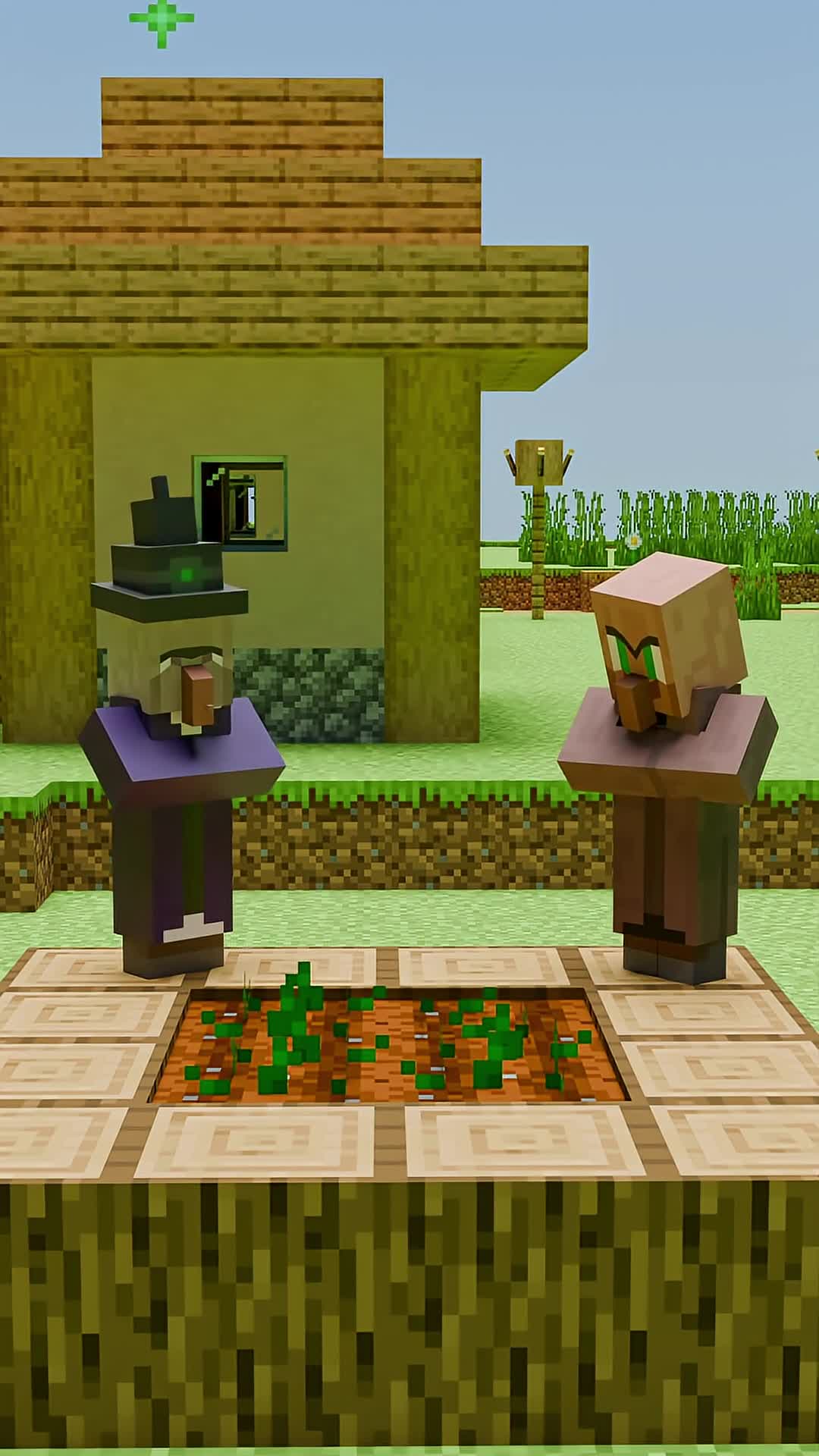Minecraft witch in love with evil villager satisfying 3D simulation