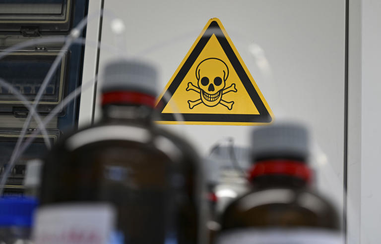 Intossicazione a Campobasso: sospetti su funghi, topicida e botulino ...