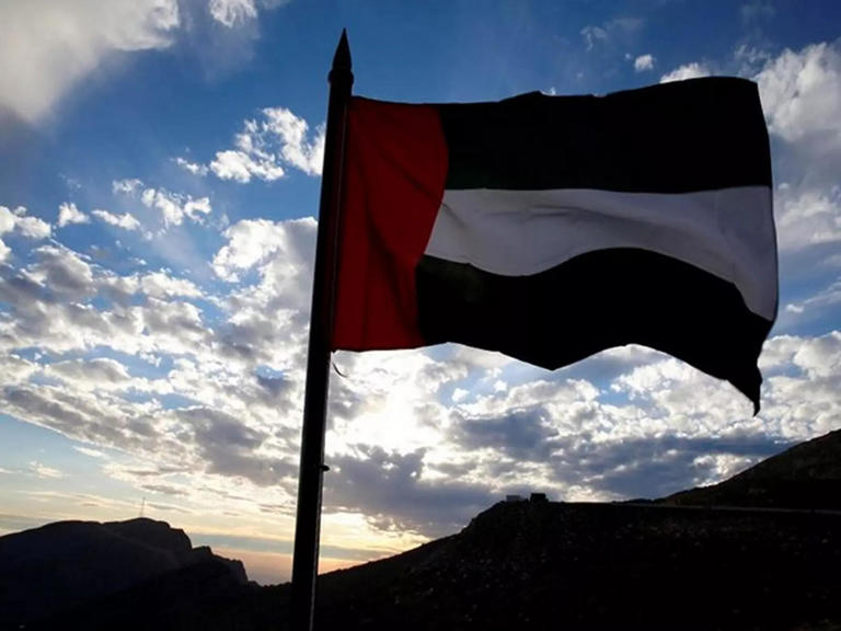 UAE says it is withdrawing its remaining forces in Yemen voluntarily in ...