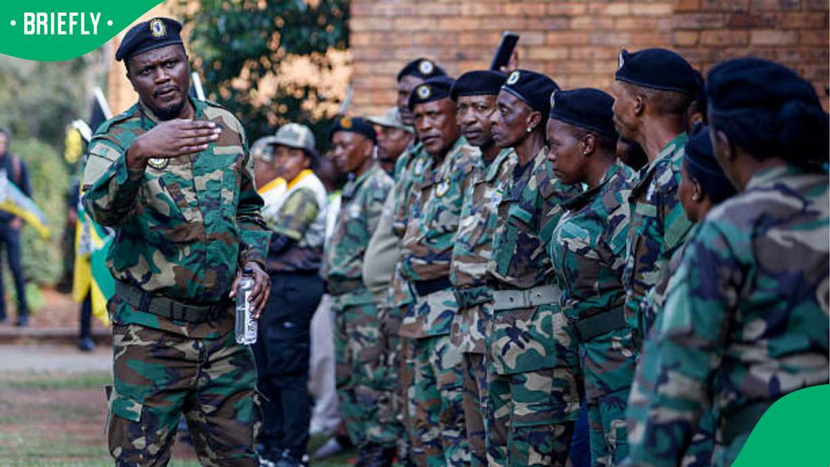Massive border influx highlights security challenges for South Africa