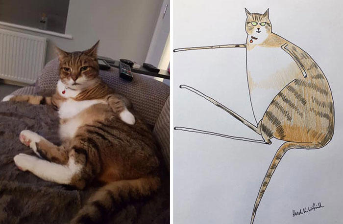 29 animal portraits drawn so badly, they look like masterpieces