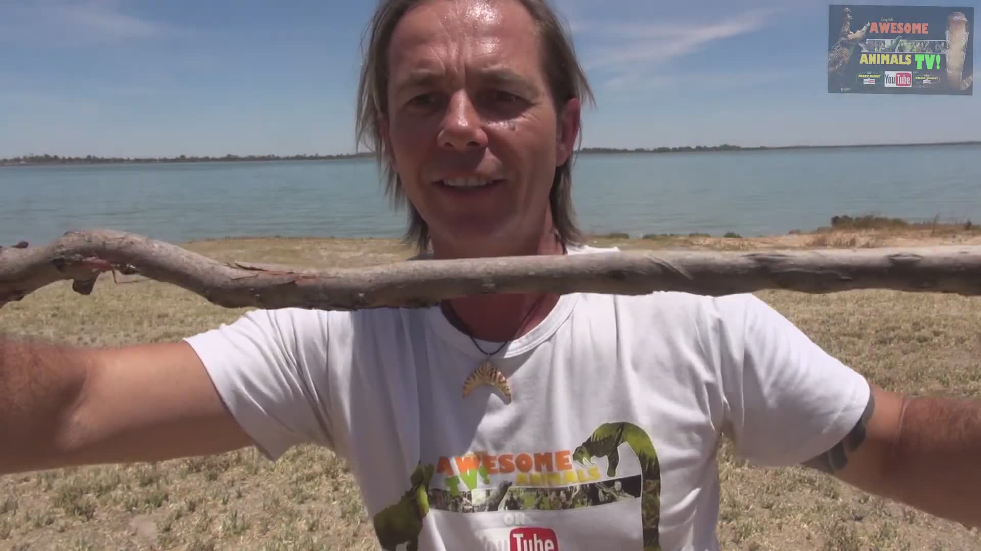 Experiencing excruciating pain from bullet ant