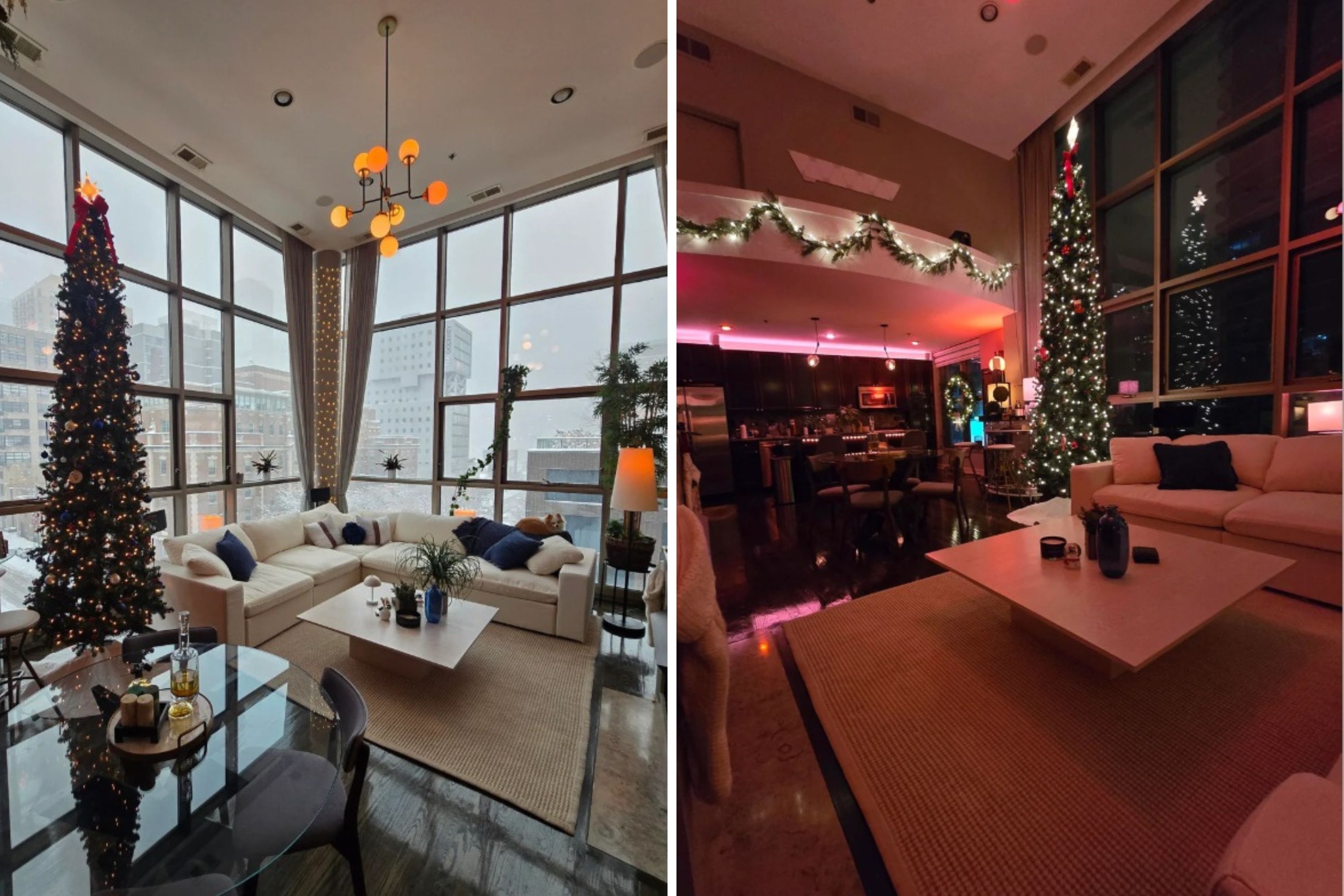 Gen Z man asks for apartment decorating tips, internet only sees one thing