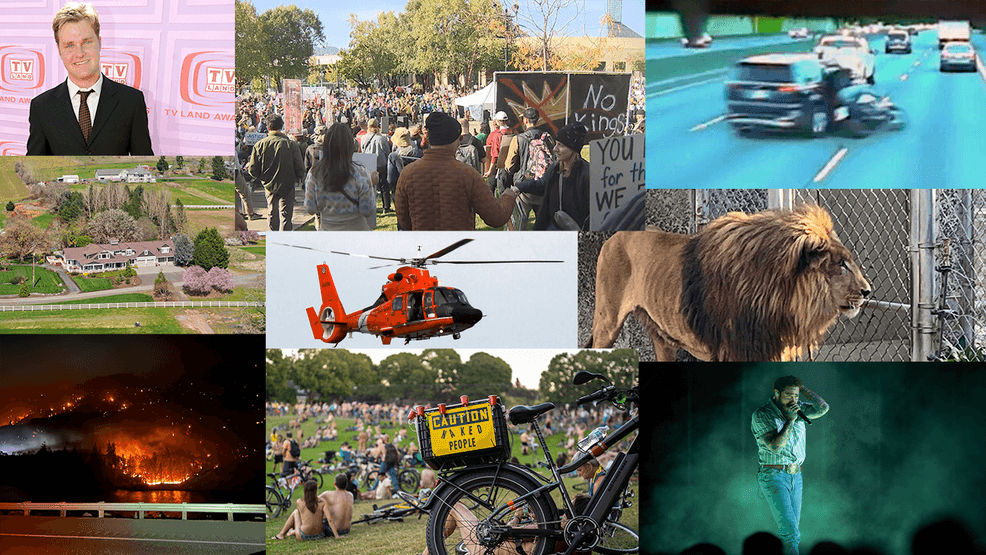 Arrests, protests, and one 'big' sale led our top 10 local stories from ...