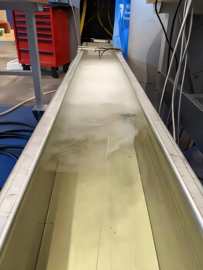 Decompression sickness in fish reveals hidden risks of hydropower ...