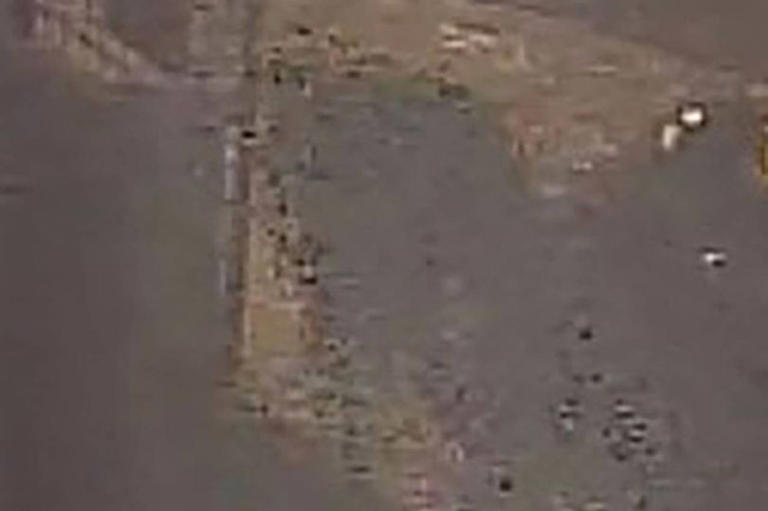 Chilling CCTV captures big cat 'as tall as car bonnet' prowling streets ...