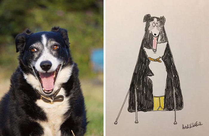 29 animal portraits drawn so badly, they look like masterpieces