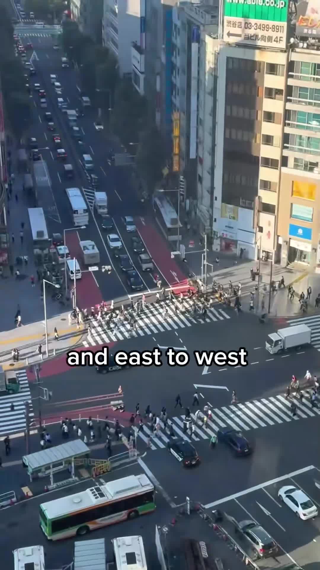 Japan survival hacks