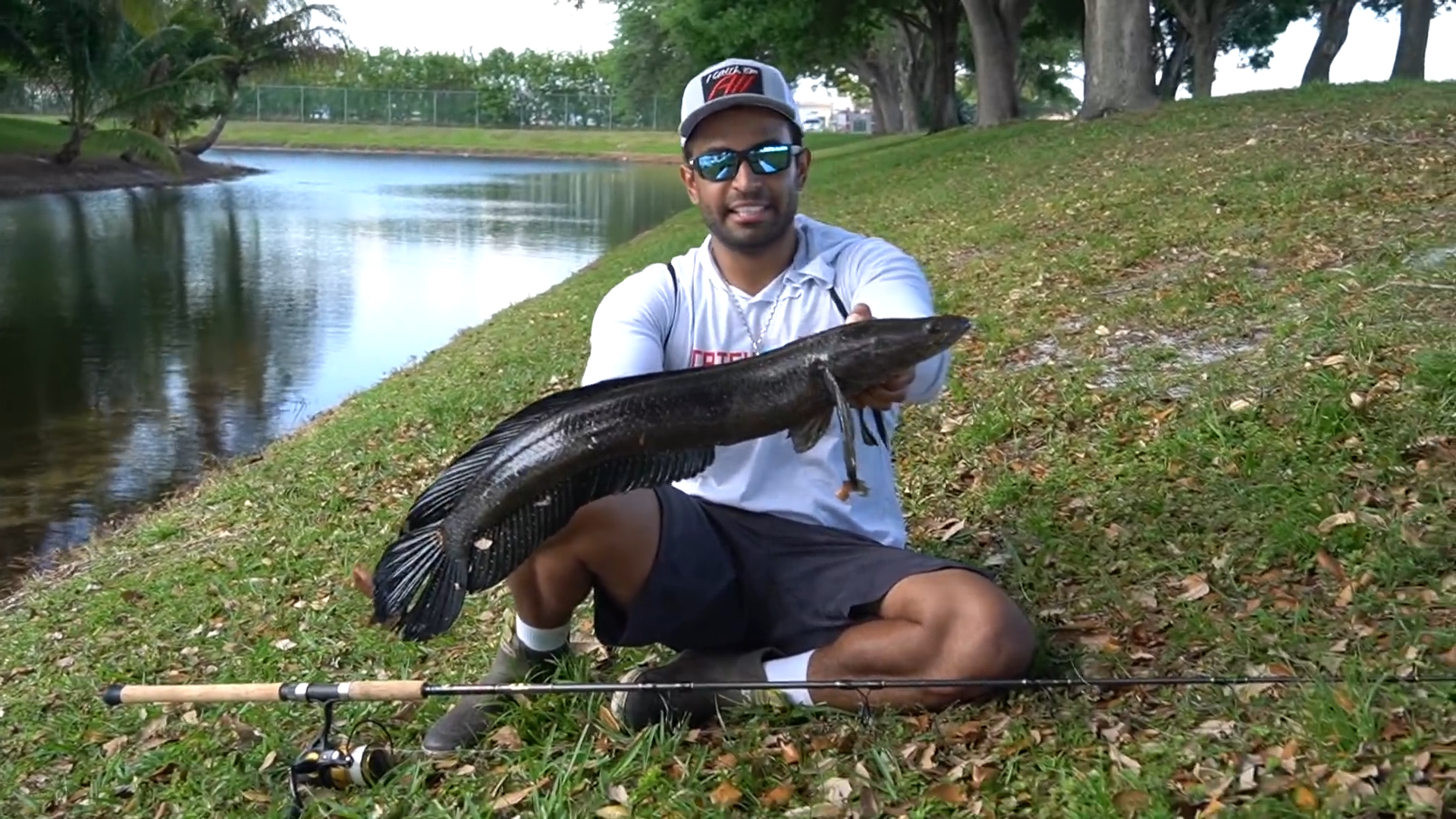 Sniping snakehead fish with pinpoint accuracy
