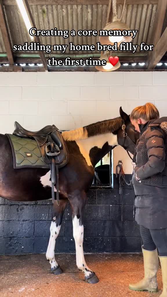 Saddling my homebred two year old filly for the first time